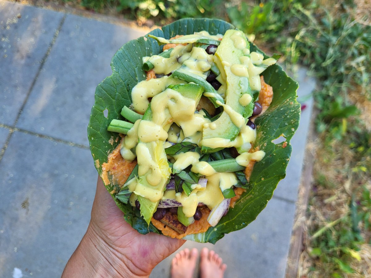 Plant Based Taco Recipe